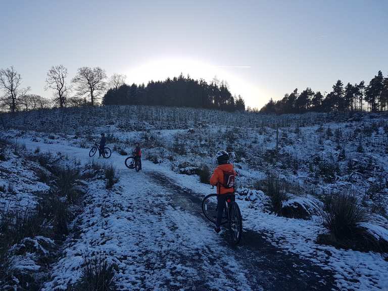 Lionthorn Woods, Falkirk - Mountain Bike Trails & Tracks | Komoot