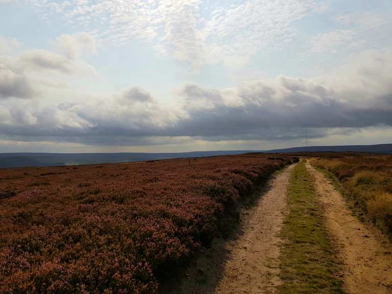 Cold Moor Routes for Walking and Hiking | Komoot