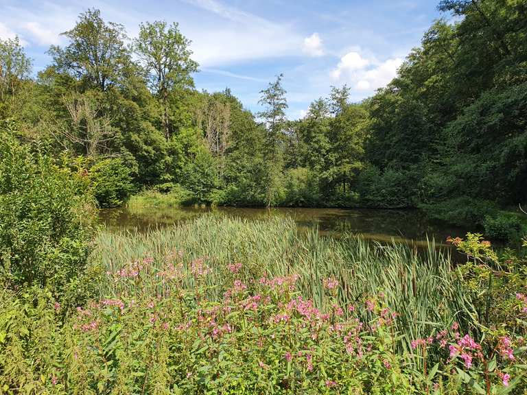 The start of the Rennsteig via the Stedtfelder Bergbaulehrpfad loop ...
