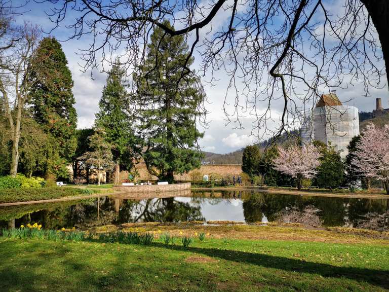 Schlosspark Weinheim – Wander- & Radrouten | Komoot