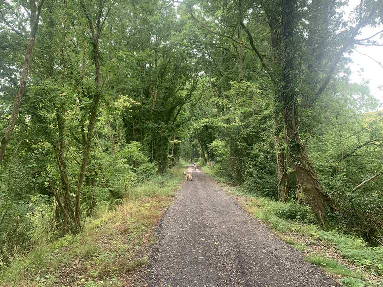 Moretonhampstead – Wray Valley Trail loop from Newton Abbot | bike Tour ...