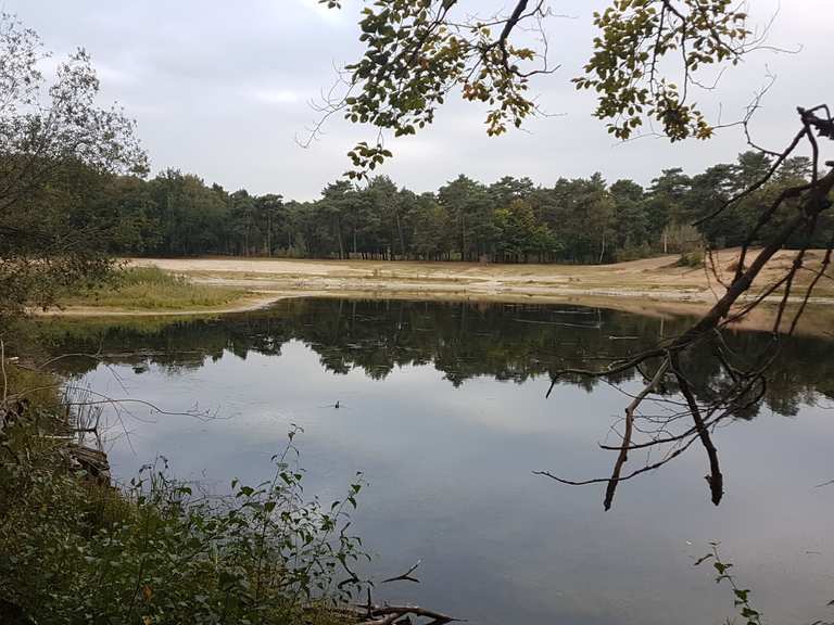 Suraeplas in Boswachterij Dorst fietsroutes en kaart | Komoot