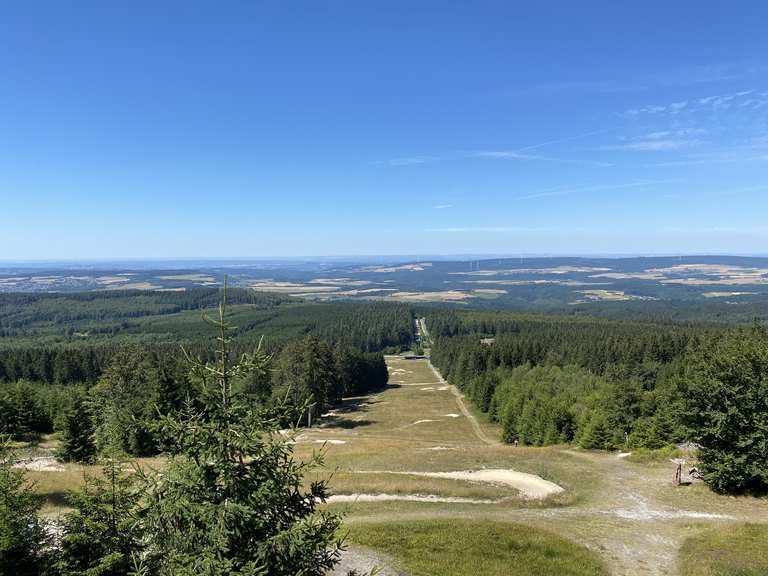 Erbeskopf (höchster Punkt von Rheinland-Pfalz): Wanderungen und ...