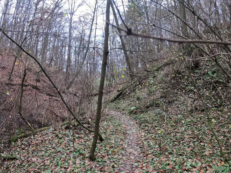 Enger Weg am Abgrund: Mountainbike-Touren | komoot