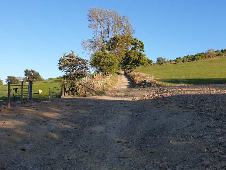 Moel Famau Country Park – Cae Newydd to Ffrith Mountain loop from ...