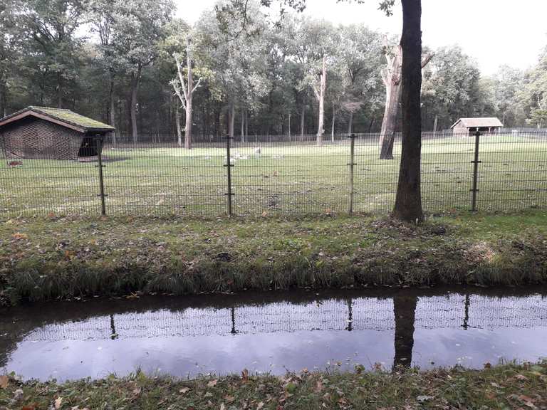 Blauwe Meertje – De IJzeren Man rondtocht vanuit Parkhof | wandeling ...