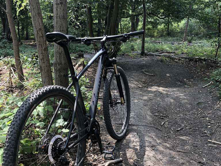 Green Ride, Epping Forest - Loughton, Epping Forest | Mountain Biking ...