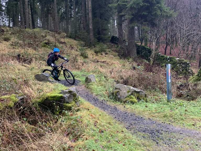 Newcastleton Trails - Mountain Bike Trails & Tracks | Komoot