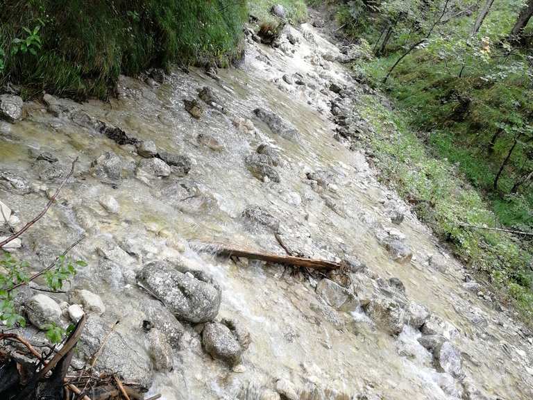 Grüne Gumpe Routes for Walking and Hiking | Komoot