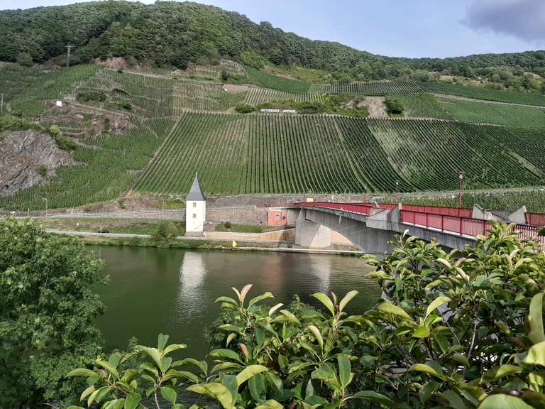 Moselbrücke Trittenheim : Radtouren und Radwege | komoot