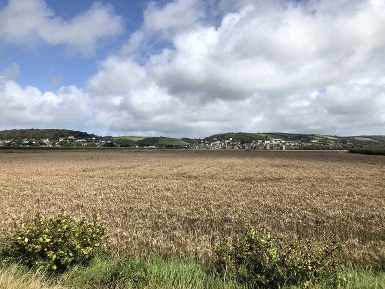 Velator quay since 1870 – Crow Point loop from Braunton | hike | Komoot