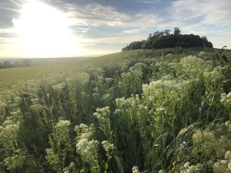 The Wittenham Clumps - Cycle Routes and Map | Komoot