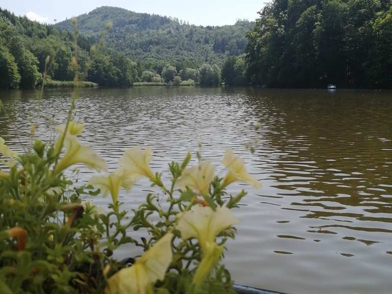 Thalersee Routes for Walking and Hiking | Komoot