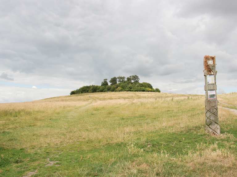 The Wittenham Clumps - Cycle Routes and Map | Komoot