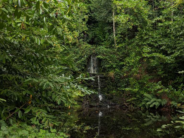 Tillingbourne Waterfall (periodically): Wanderungen und Rundwege | komoot