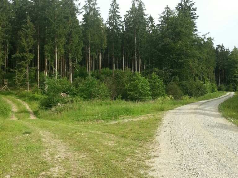 Badesee Lauenberg – Wolfsbachtal Runde von Dassel | Mountainbike-Tour ...