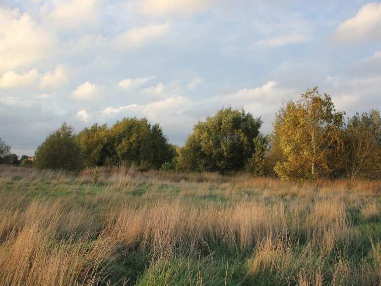 Wanstead Flats - Cycle Routes and Map | Komoot