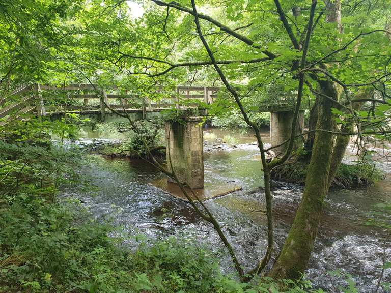 Nidd Gorge and Burgess Bridge Routes for Walking and Hiking | Komoot