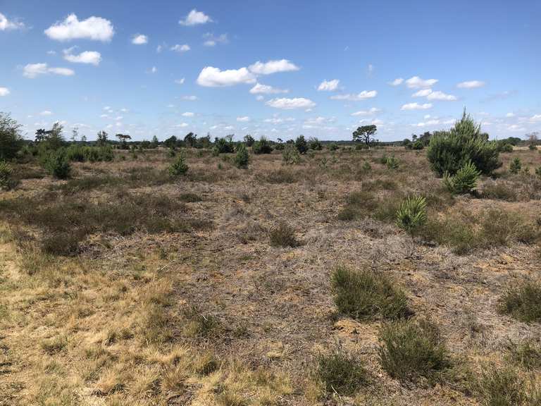 Strabrechtse Heide & Beuven fietsroutes en kaart | Komoot