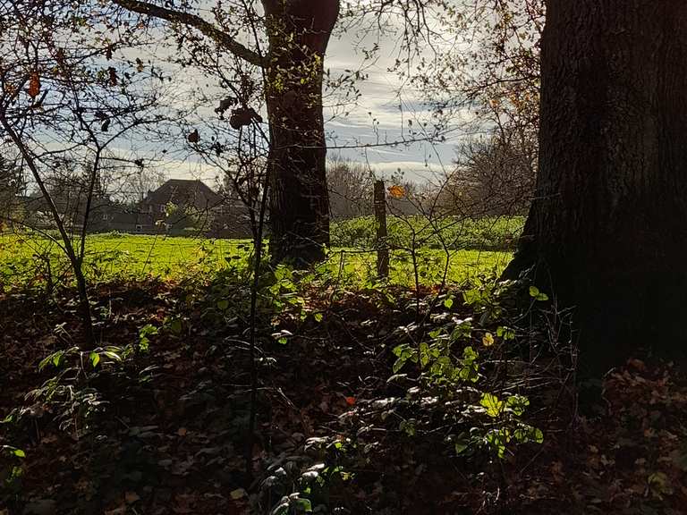 Cole Green Way (East to West) Cycle Routes and Map | Komoot