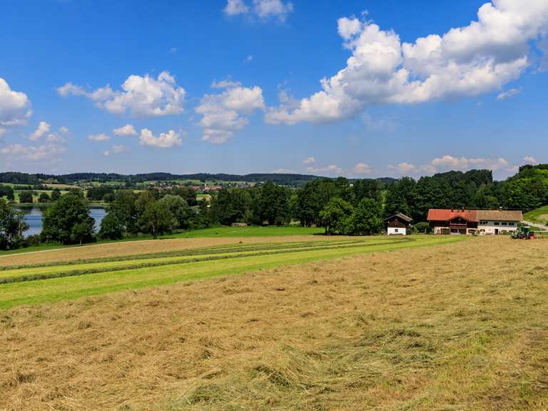 Aussichtspunkt Tachinger See : Radtouren und Radwege | komoot