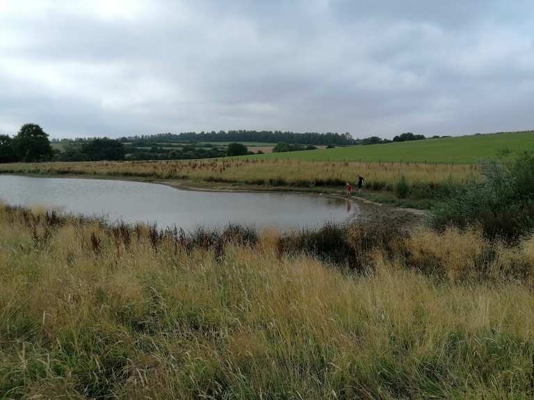 Mapperley Wood Routes for Walking and Hiking | Komoot