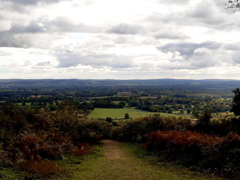 One Tree Hill Routes for Walking and Hiking | Komoot