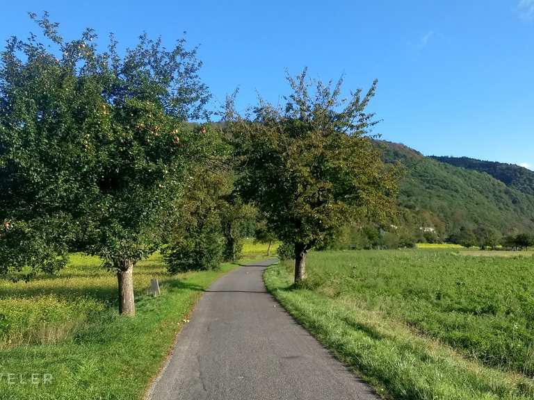 Spitz in der Wachau – Spitz an der Donau Runde von Aggsbach Markt ...