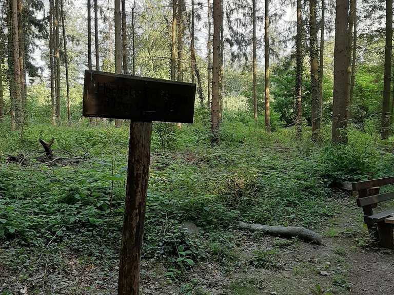 Punto más alto Hirschberg (317 m): Rutas y mapas | Komoot