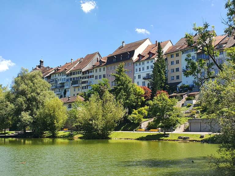 Wiler Weier + Altstadt - Mountain Bike Trails & Tracks | Komoot