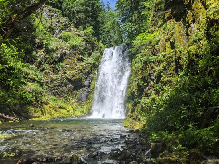 Siouxon & Huffman Peak Loop – Gifford Pinchot National Forest ...