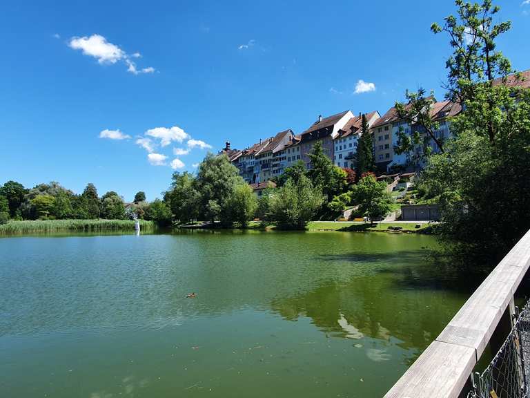 Wiler Weier + Altstadt - Mountain Bike Trails & Tracks | Komoot