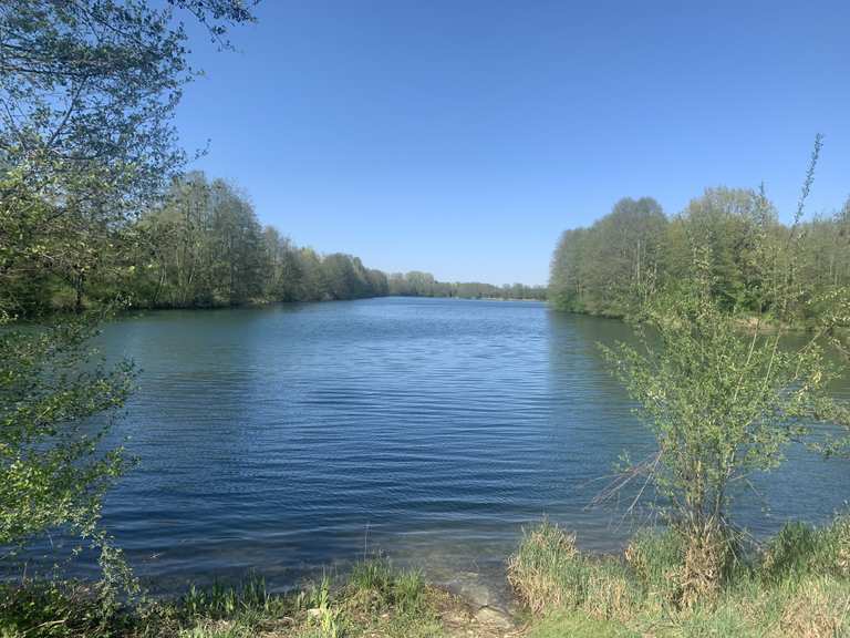 Elegantes A9 Baarer Weiher Bilder