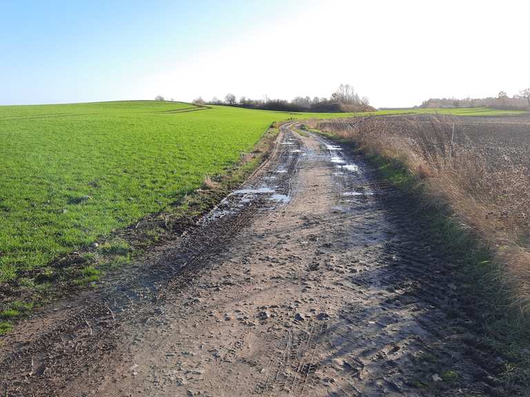 Sandweg durch die Felder Cycle Routes and Map | Komoot