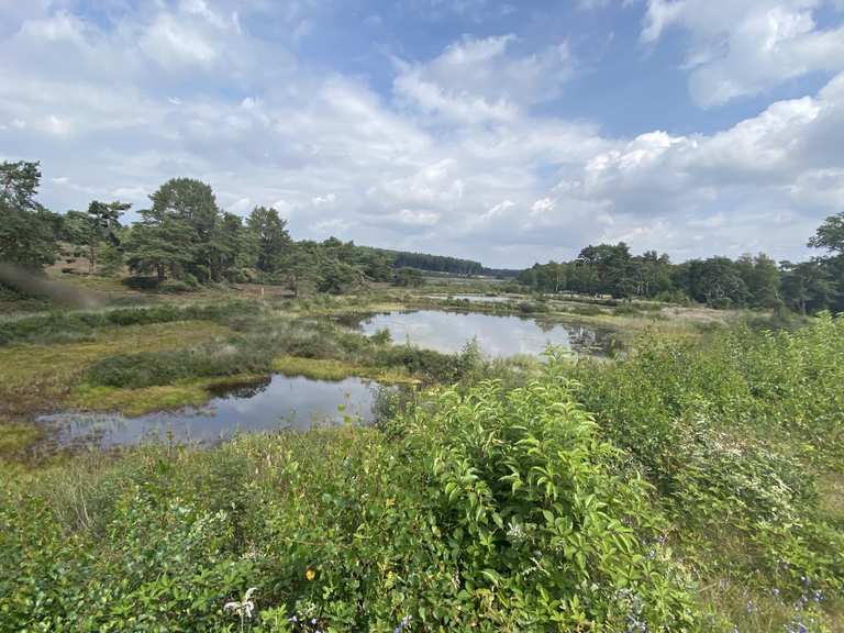 De Teut en Haagdoornheide – Natuurgebied De Teut Rondje vanuit Genk ...