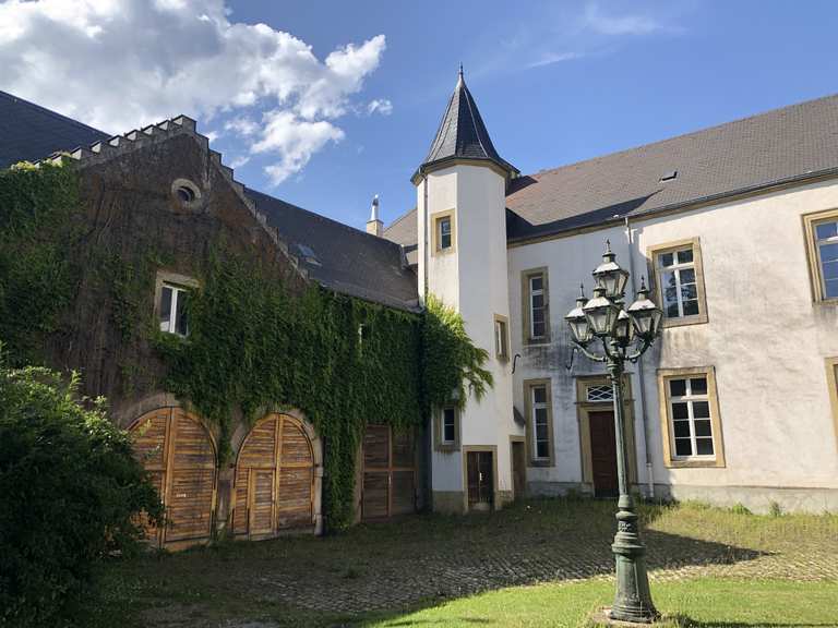 Schloss Sassenheim : Radtouren und Radwege | komoot