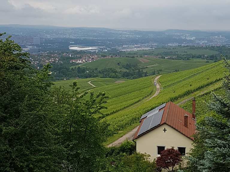 Ausblick Rotenberg: Wanderungen und Rundwege | komoot