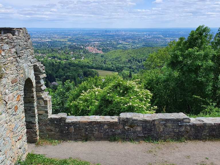 Burg Falkenstein: Wanderungen und Rundwege | komoot