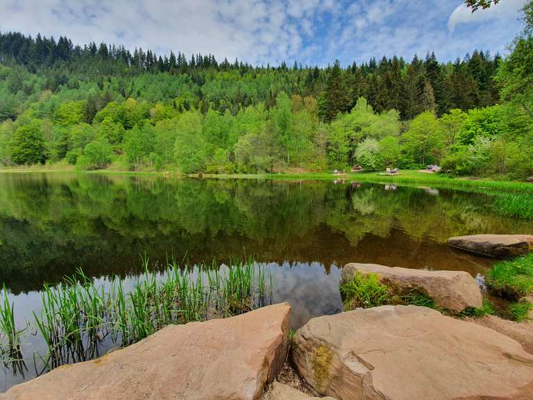 Sankenbachsee Routes for Walking and Hiking | Komoot