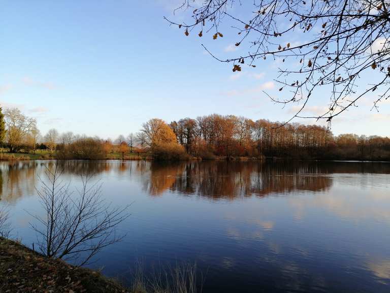 Sunder Seen mit Seerosen und kapitalen Karpfen : Radtouren und Radwege ...