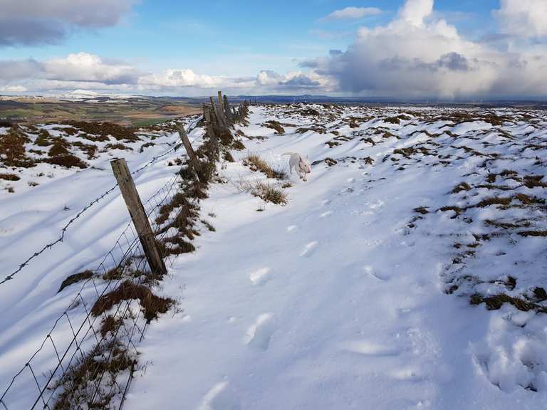 Benarty Hill Routes for Walking and Hiking | Komoot