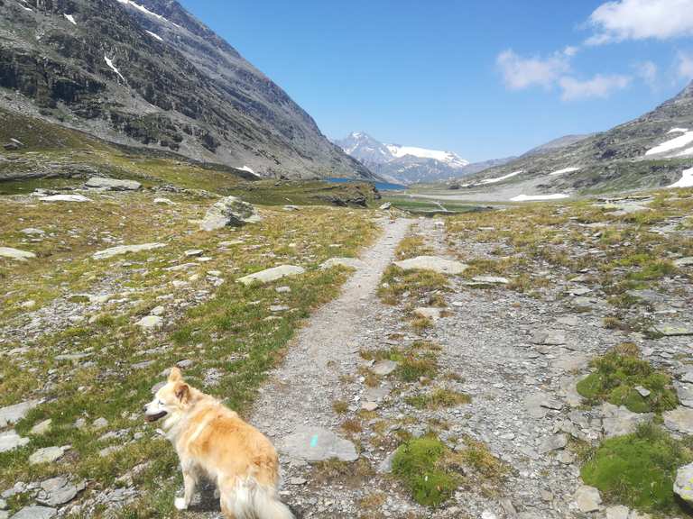 Col du Clapier - Itinéraires de rando et marche | Komoot