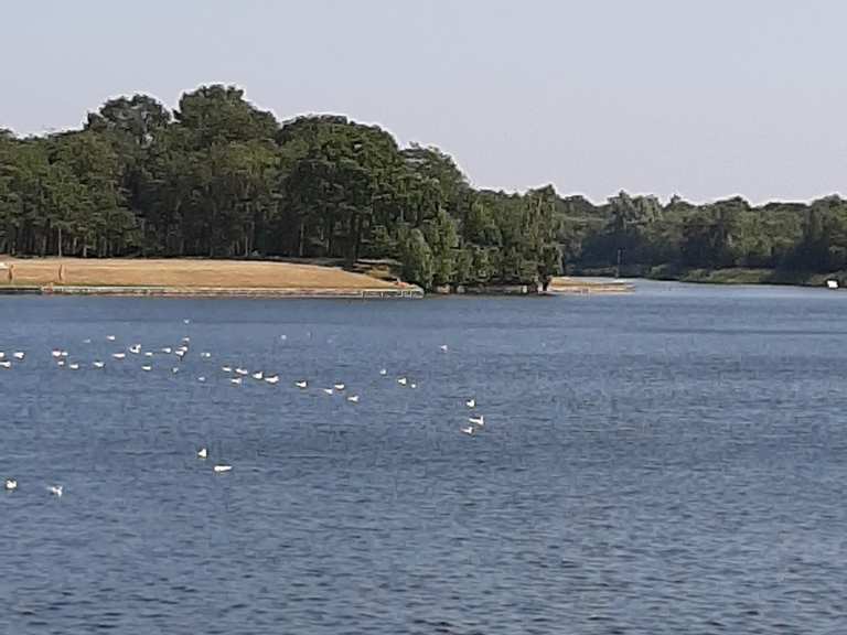 Het Rutbeek Freizeitsee - Cycle Routes and Map | Komoot