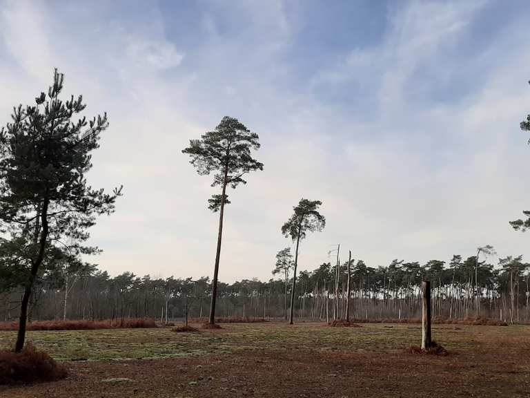 Droge heide - herstelgebied wandelroutes en hikes | Komoot