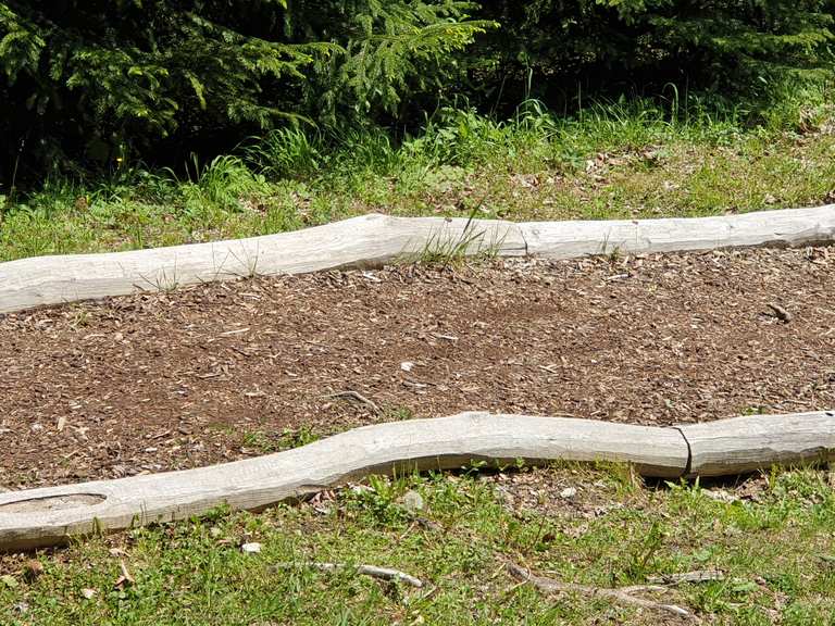 Grüne Gumpe Routes for Walking and Hiking | Komoot