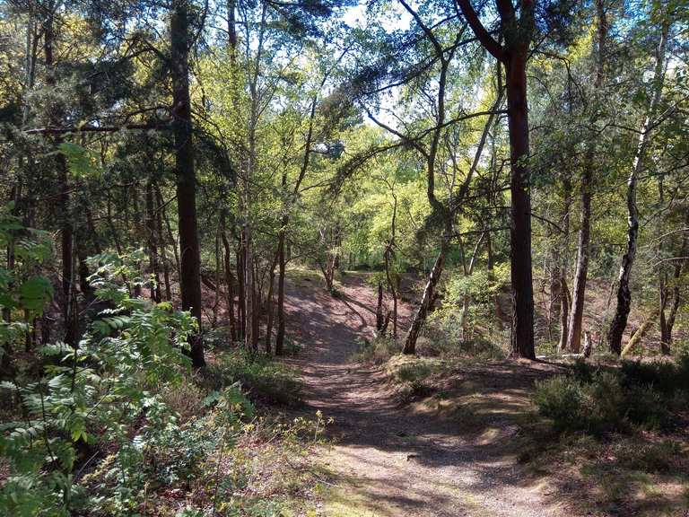 Addington Hills Lookout - Cycle Routes and Map | Komoot