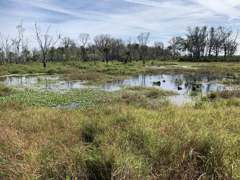 Gum Slough Routes for Walking and Hiking | Komoot