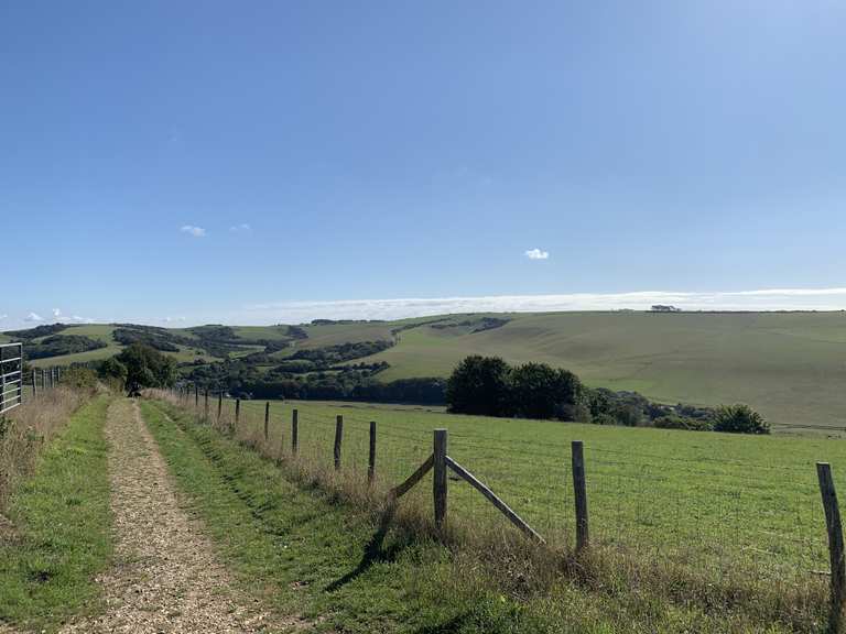 Crater Run - Crater 3 – Friston Forest MTB trails Loop from Friston ...