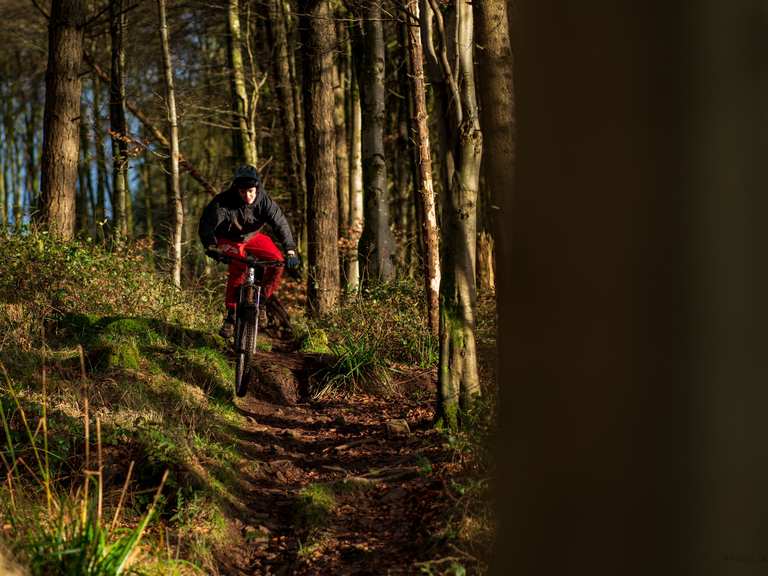 Rowberrow Warren – Mendip magic Loop from Priddy | mountain bike ride ...