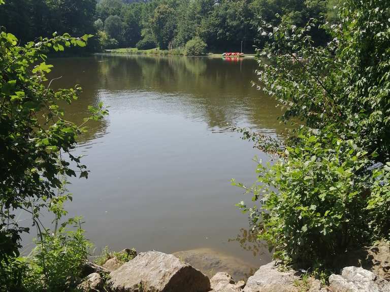 Thalersee Routes for Walking and Hiking | Komoot